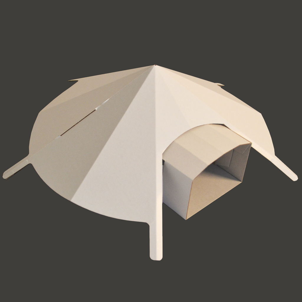 Celtic Roundhouse School Project Homework Kit 50cm – Cardboard Kustomz